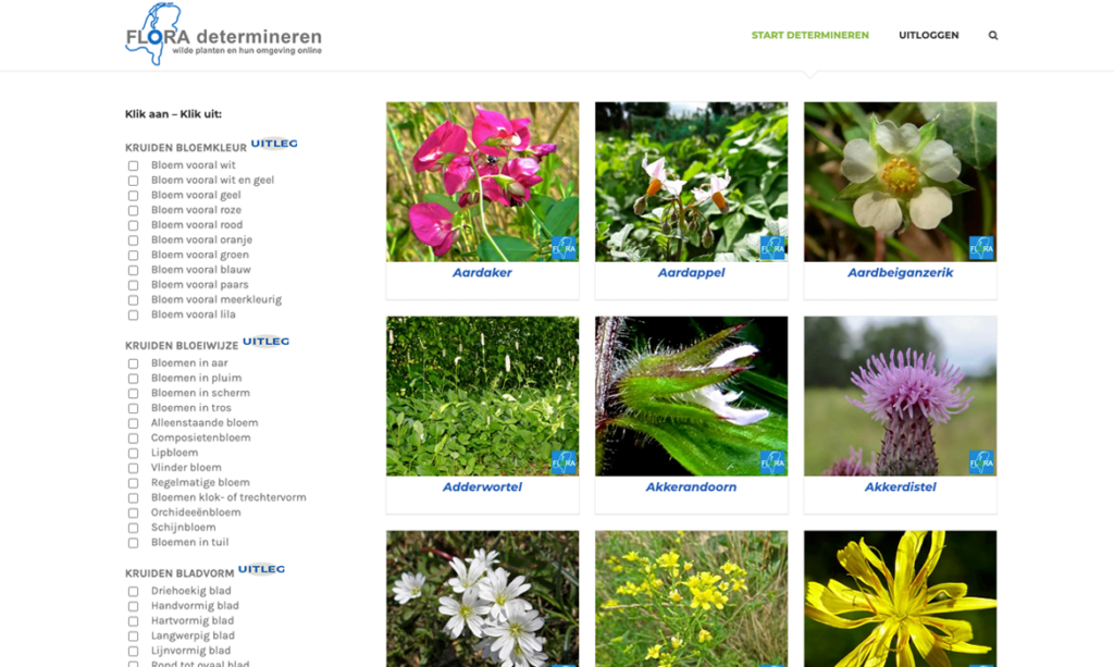 Flora van Nederland – intro floradetermineren – Flora determineren